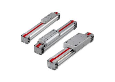 Cina NORGREN M/146116/M/ Interchangeability With Series C/46000 Rodless Cylinder in vendita