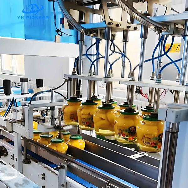 Quality Fully Automatic Canned Fruits Carton Packer Machine for Fast and Reliable Fruit for sale
