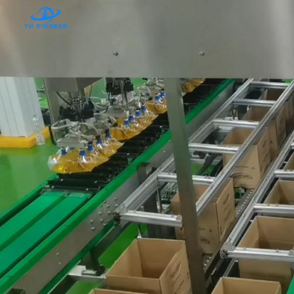 Quality Soft Bags Pouches Carton Packer Machine with Customizable Carton Size for sale