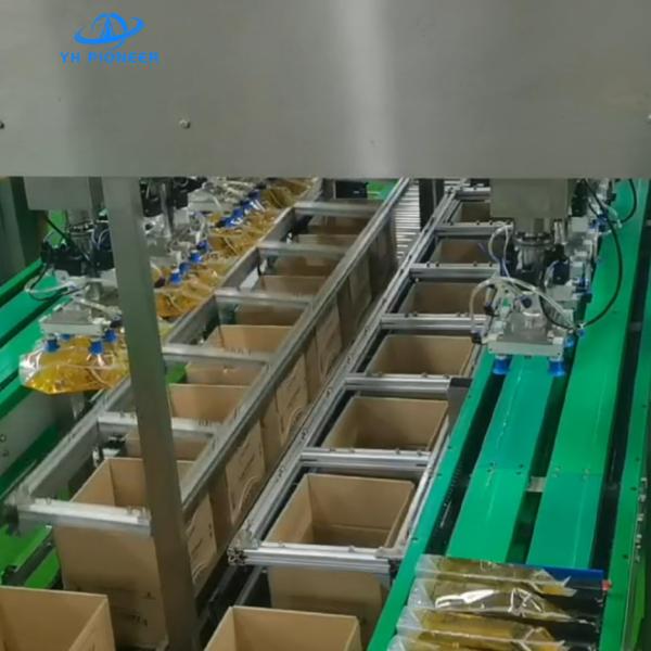 Quality Soft Bags Pouches Carton Packer Machine with Customizable Carton Size for sale