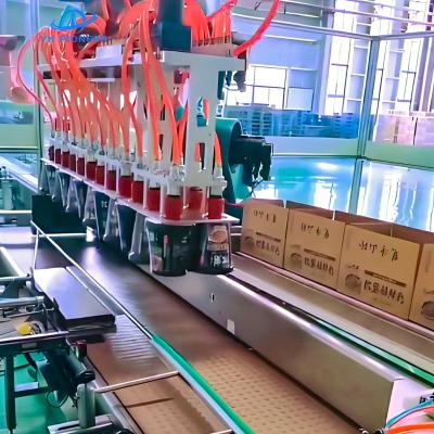 Cina Macchina confezionatrice per cartoni di noodles istantanei per un imballaggio rapido e affidabile in vendita