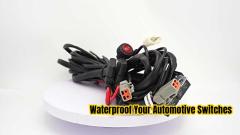 Waterproof Automotive Switch Harness