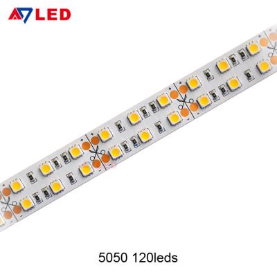 China Adled light high power 24v 120leds white warm white cold white led strip 5050 for jewellery showcase counters for sale