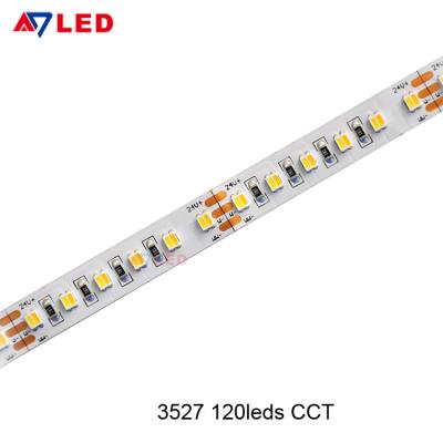 China Adled light high lumens tape lights smd 3527 120led dc 24v adjustable color cct led strip for sale