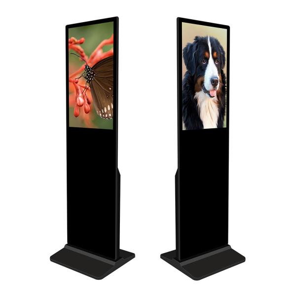Quality Stylish Floor Standing Digital Signage Kiosk with 1920*1080/3840*1920 Resolution Ratio and 5000 1 Contrast Ratio for sale