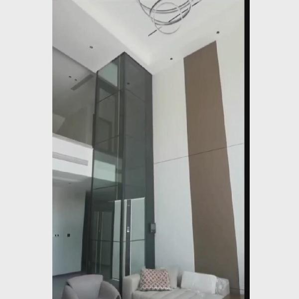 Quality Screw Drive Elevator with Stainless Steel Door and Emergency Stop Button for sale