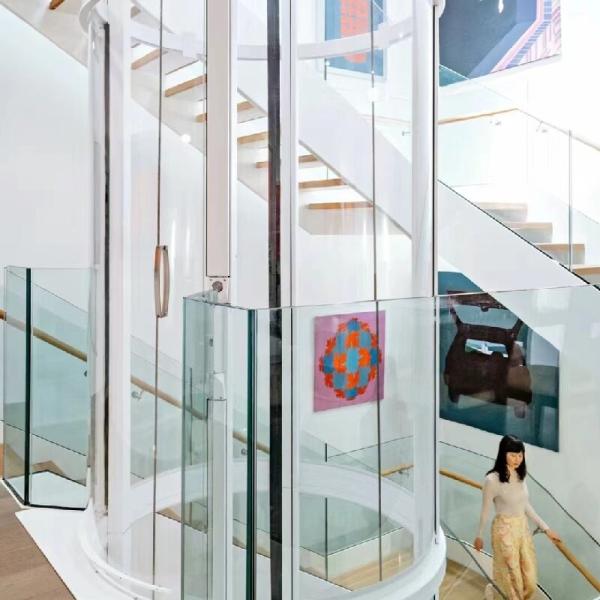 Quality Customizable Abnormity Home Elevators 0.25M/S With Safety Overload Protection for sale