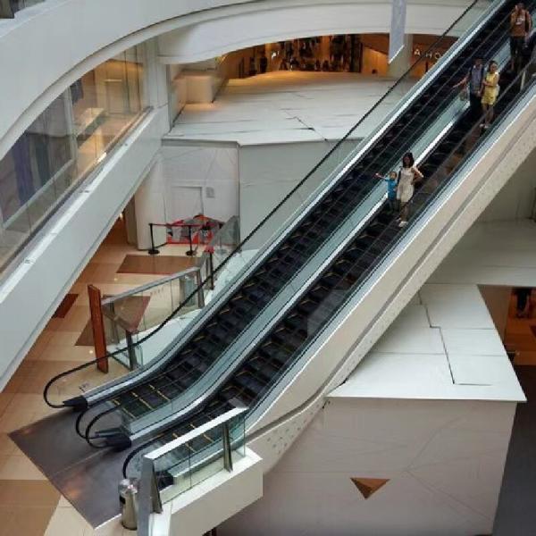 Quality Energy Efficient Escalator Lift 0.5 KWh Power Consumption 100 Passengers/Minute for sale