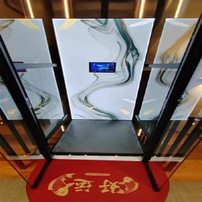 China 304# Stainless  Steel Cabin Home Elevator With And Single Phase AC Power Supply Mrl Gearless Elevator for sale