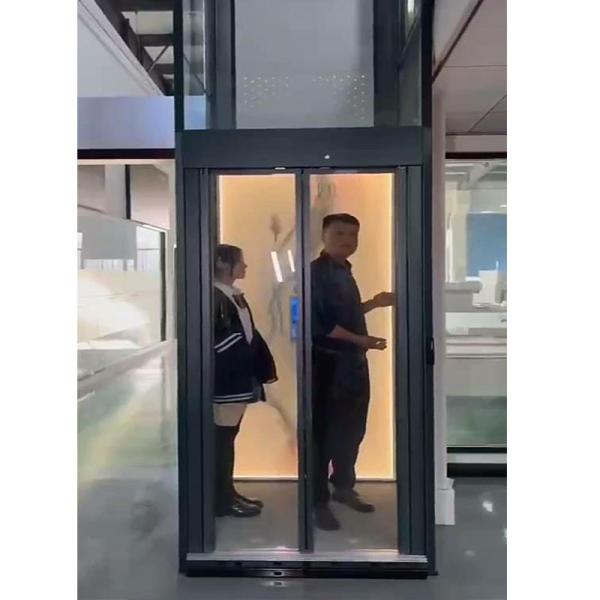 Quality Luxury Traction Home Elevator Microprocessor Based Gearless House Elevator Lift for sale