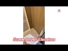 220V AC Screw Drive Home Elevator with Automatic Sliding Door and 400 Kg Capacity