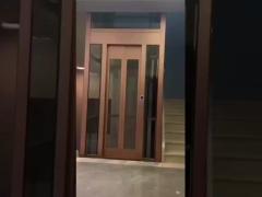 Классическое тяговое бесприводное тяговое небольшие жилые лифты изящный дизайн