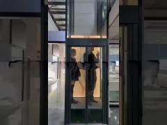 Luxury Traction Home Elevator Microprocessor Based Gearless House Elevator Lift (Люксный дом с подъемным лифтом на базе микропроцессора)