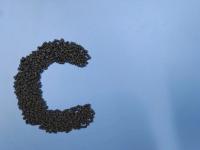 China Advanced Desiccant Masterbatch with Polymer Carrier for Enhanced Moisture Absorption for sale