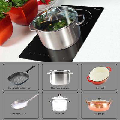 Cina Cucina elettrica a due bruciatori in cucina in ceramica da 12 pollici 3000W 220V-240V in vendita