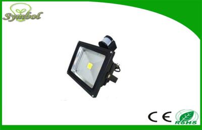 China 12V 20W 1800LM Sensor Led Floodlight , 2000 lm COB warm white led flood light for sale