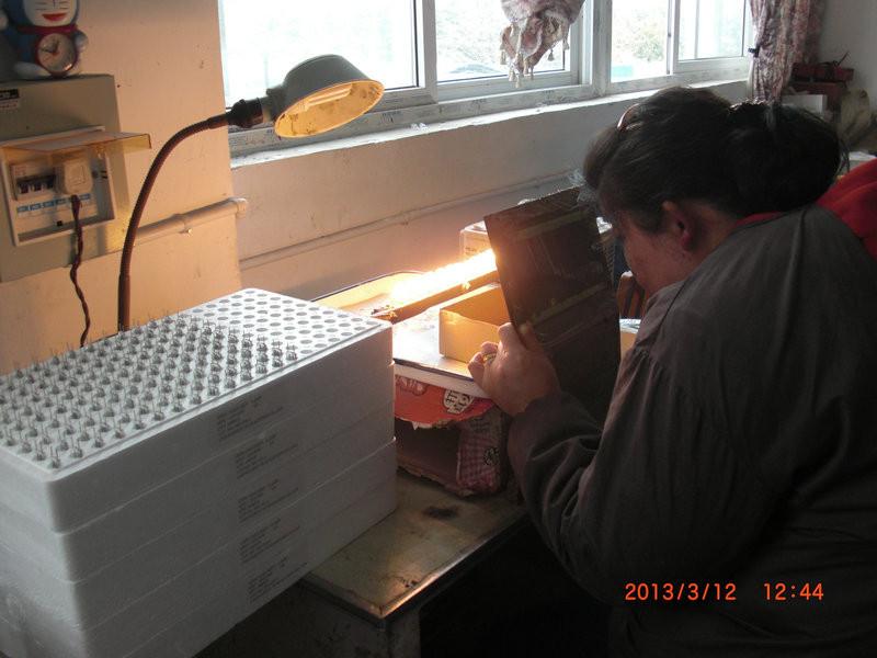 Fornitore cinese verificato - LED Light Online Marketplace