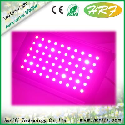 Cina Promozione calda!!! Lo spettro completo di serie 60x3w di aura di Herifi ha condotto la luce progressiva 120w della pianta in vendita