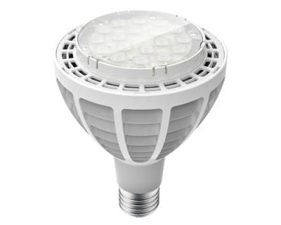 Cina le lampadine E27 di 30w Par30 LED con un fan di due cuscinetti a sfera, Cree hanno condotto il chip in vendita
