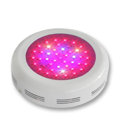 Cina Alluminio blu della luce progressiva 3w della pianta di spettro LED, crescita di pianta della lampada del LED in vendita