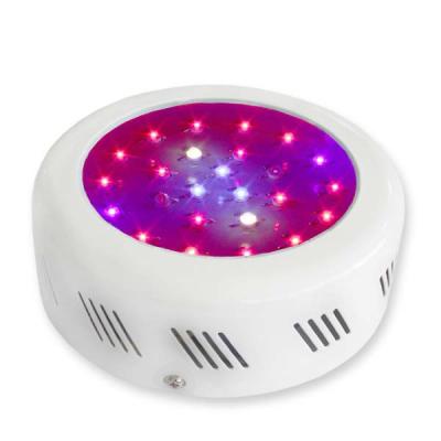 Cina Il LED di fioritura pianta la crescita di pianta della luce progressiva 3watt con 50000 ore di durata della vita di lunghezza in vendita