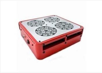 Cina Luci principali rosse di alta efficienza per crescita di pianta per la fioritura ed il germogliamento del 60W in vendita