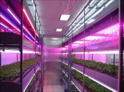 Cina T8 impermeabilizzano le luci progressive della pianta del LED, le luci progressive del LED per le piante d'appartamento ed i raccolti in vendita
