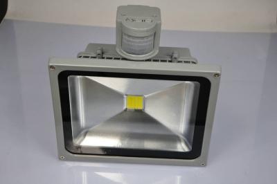 Cina IP65 impermeabilizzano l'illuminazione di inondazione all'aperto del LED, proiettore di 10W RGB PIR LED per l'hotel, fase, luce del parco in vendita
