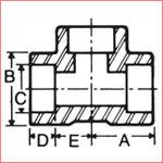 Stainless Steel Forged Fitting, ASME B16.11,. MSS SP-79, and MSS SP-83. Superior Corrosion Resistance