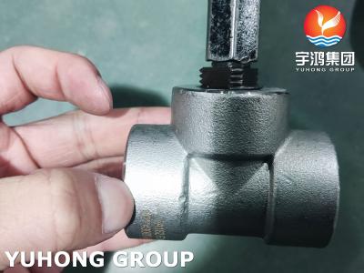 Cina Filo uguale NPT del T di acciaio inossidabile di ASME B16.11 ASTM A182 F316L in vendita