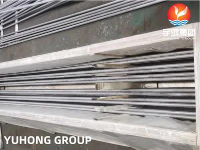 Cina Metropolitana senza cuciture della curva ad U di acciaio inossidabile di ASTM A213/ASME SA213 TP444 fatta domanda per lo scambiatore di calore in vendita
