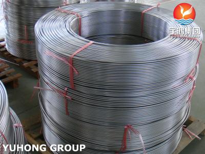 중국 열 교환기/보일러관은 ASME SA213 TP316/316L 소금물에 절이고/밝은 단련한 지상 스테인리스 이음새가 없는 관 판매용