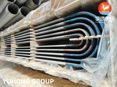 Cina ASTM A213/ASME SA213 TP316L una metropolitana di piegamento senza cuciture (di 1,4404) U per calore Exhcanger in vendita