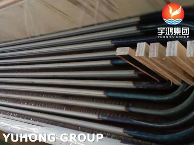 Κίνα Κάμπτοντας σωλήνας του U ASTM A213/ASME SA213 TP317L/1.4438/UNS S31703 για τον ανταλλάκτη θερμότητας προς πώληση