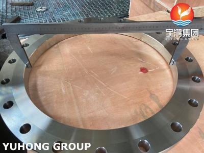 China DIN2576 ASTM A182 F304 Stainless Steel Flange Forged Plate Flange for sale