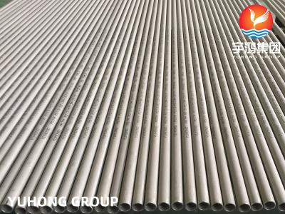 Cina Tubo per scambiatori di calore austenitici ASTM A213 TP316L 1.4404 in vendita