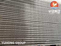 Cina Tubo in acciaio inossidabile duplex ASTM A790 UNS S32205 Reattori Serbatoi in vendita