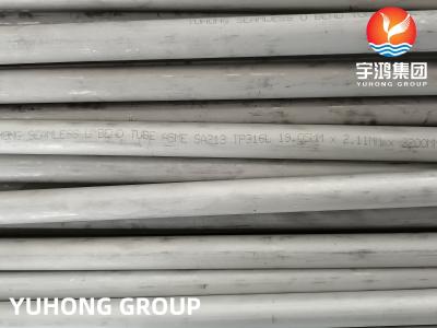 Cina Tubo per scambiatori di calore in acciaio inossidabile Tubo senza cuciture/saldato, acciugato/brillante annelato A213 TP304L in vendita