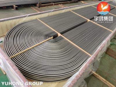China ASTM A213 (ASME SA213) TP304 Seamless Austenitic Alloy Steel U Bend Tube for sale