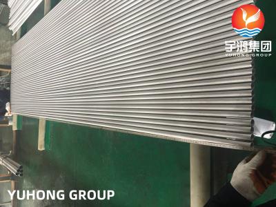 중국 단련되는 고성능을 가진 스테인리스 열교환기 관 ASTM A213 TP304 304L TP317 TP321, 절인, 보통 끝 판매용