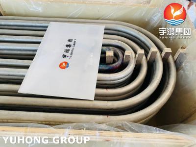 Cina ASME SA213 Tubi per caldaie ad olio a piega in acciaio inossidabile TP316L senza saldatura in vendita