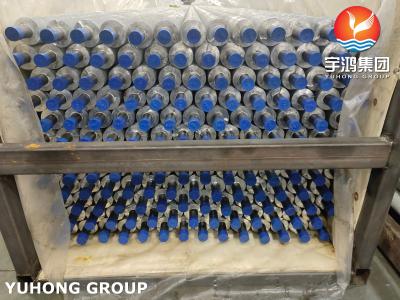 Cina ASME SA179 Tubi a pinne estrusi in acciaio al carbonio per apparecchiature per scambiatori di calore in vendita