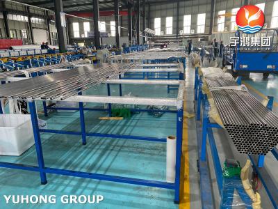 Cina Tubatura temprata luminosa del tubo senza saldatura di acciaio inossidabile di SEDERE di ASTM A269 TP316L in vendita