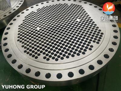 Cina Fogli di tubi forgiati in acciaio inossidabile e acciaio carbonio per l'applicazione in scambiatori di calore in vendita