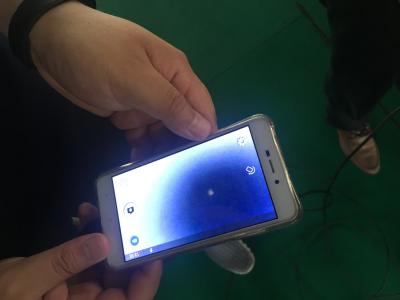 중국 열 교환 관, ASME SA213, ASTM A213 TP317L, 19.05MM x 1.65 MM x 6096MM 와전류 시험과 액체정역학 시험 판매용