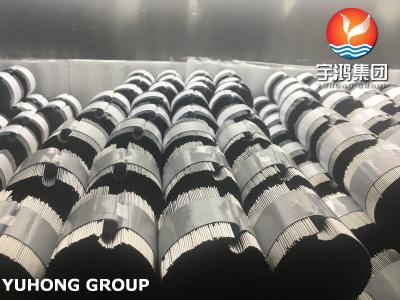 Cina L'anello luminoso del tubo L'ago PRECISIONE SS tubo capillare TP304 in vendita