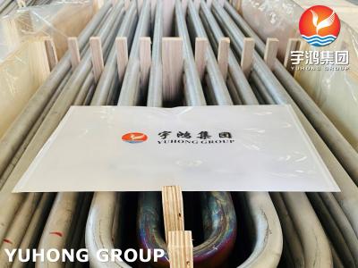 Cina ASTM A213 TP316l Tubo di piegatura U senza saldatura in acciaio inossidabile per scambiatori di calore in vendita