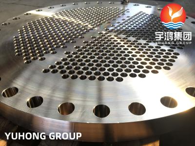 Cina Acciaio inossidabile Tubesheet 316L di ASME SA182/piastra tubiera S31603/1,4404 di UNS in vendita