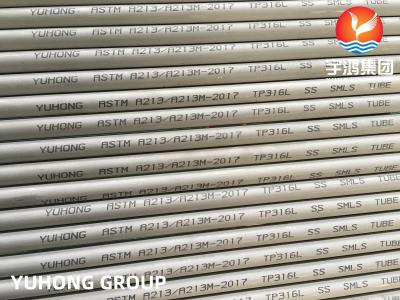 ASME SA213 TP316L 35x2x8000MM Seamless Pickled Boiler Tube for Heat Exchangers