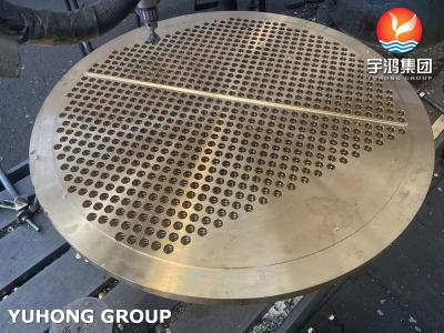 中国 熱交換器のためのASTM銅合金鋼バフルとチューブシート 販売のため